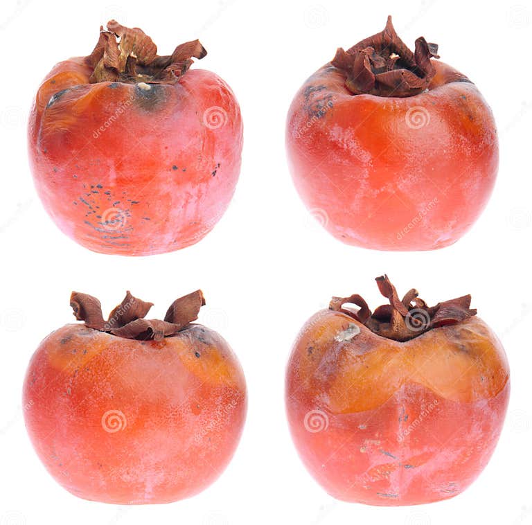 Rotten persimmons stock photo. Image of decomposed, kaki - 17734744