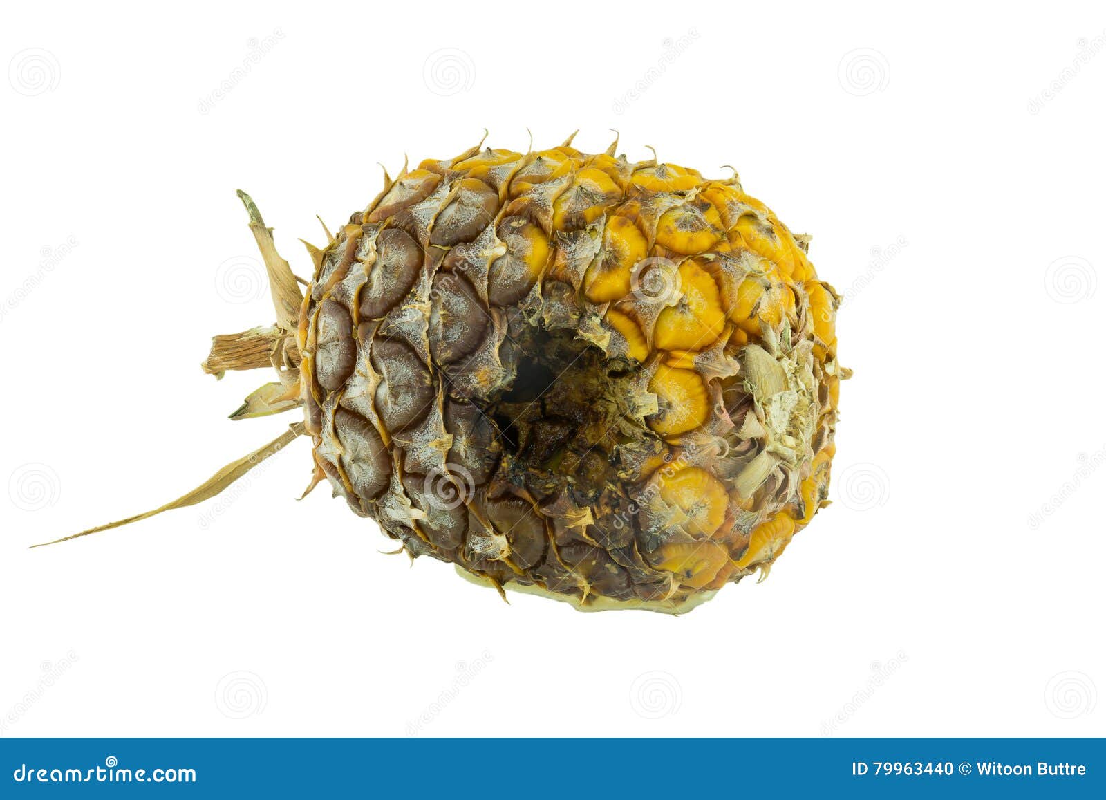 108 Rotten Pineapple Stock Photos - Free & Royalty-Free Stock Photos from Dreamstime