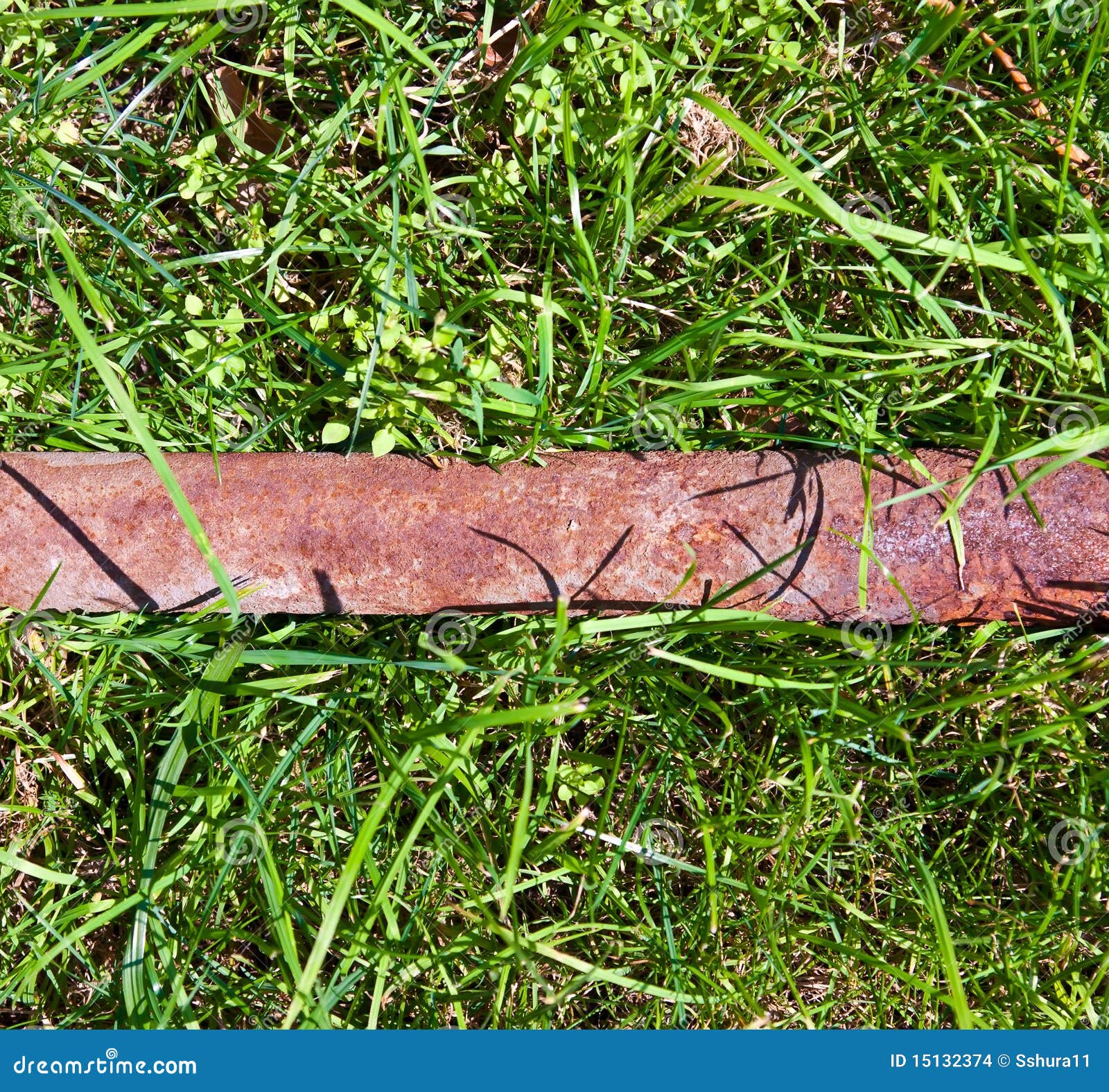 Rotten pipe in the grass stock photo. Image of pollution - 15132374