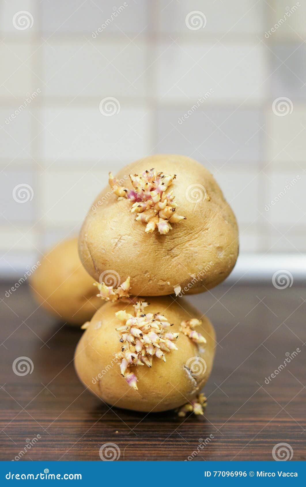 Rotten potatoes stock photo. Image of food, stacked, organic - 77096996