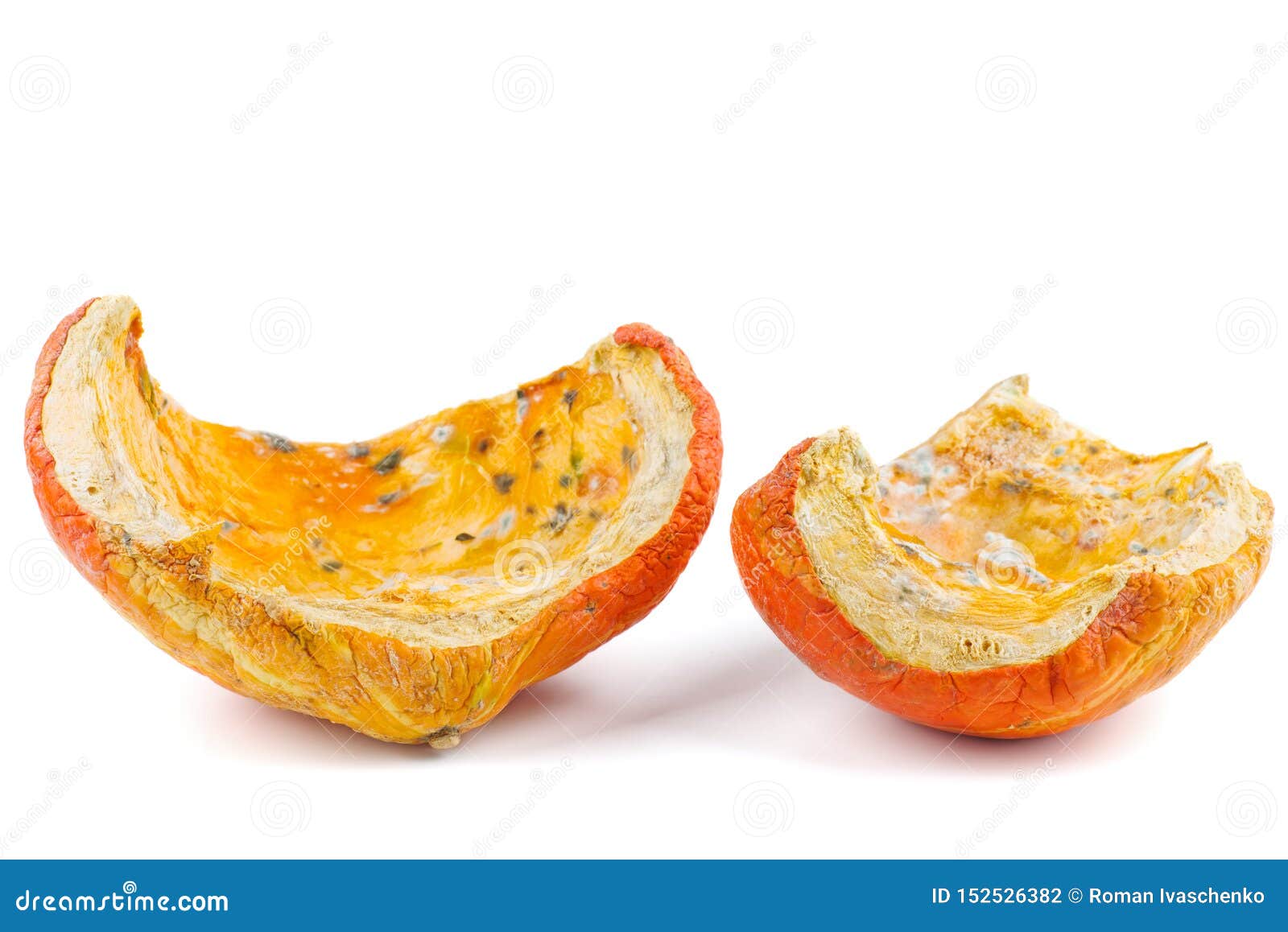 Rotten Pumpkin Pieces Isolated on White Stock Photo - Image of decaying ...