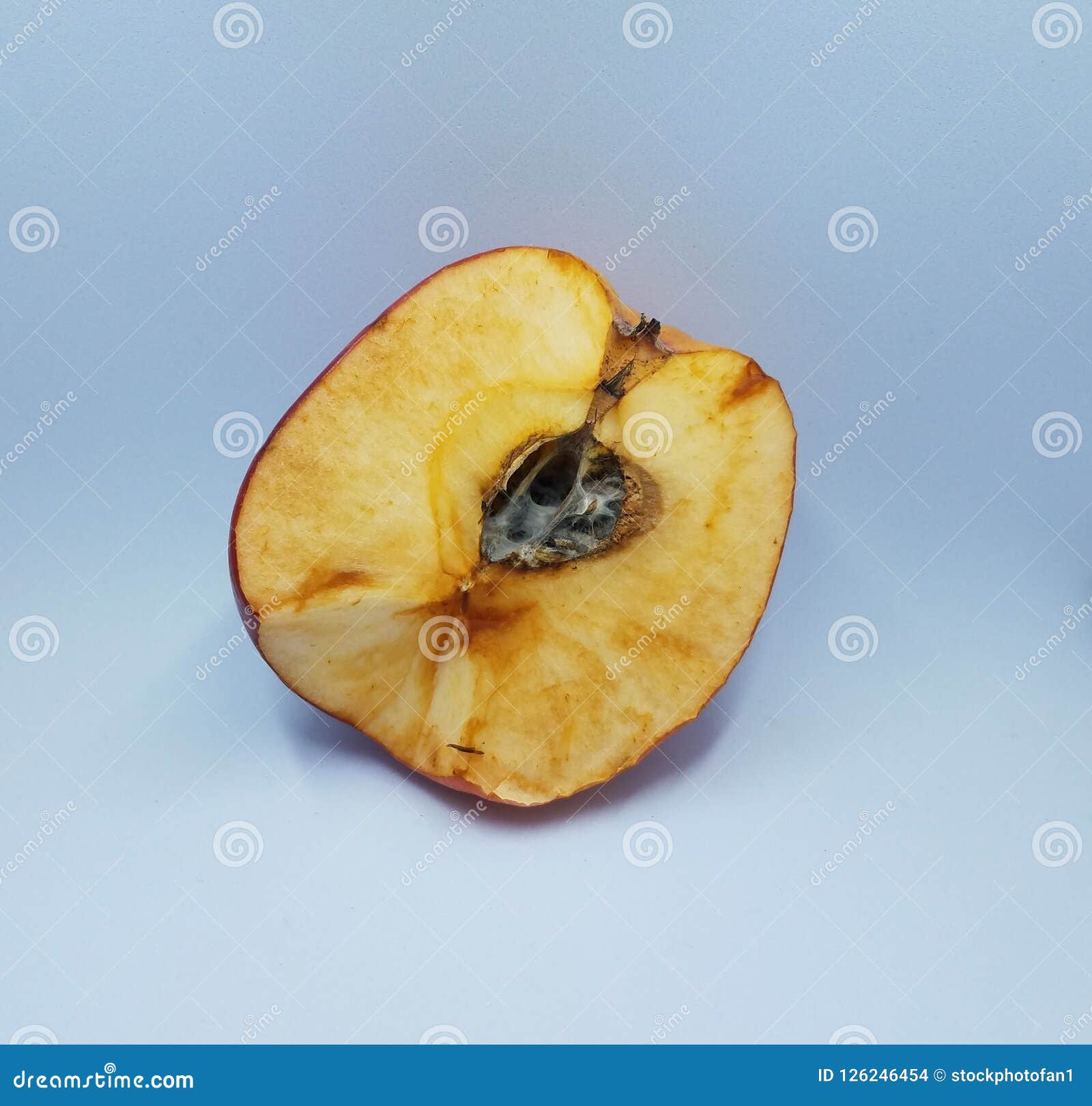 Rotten Red Apple with Mold on White Background Stock Photo - Image of ...