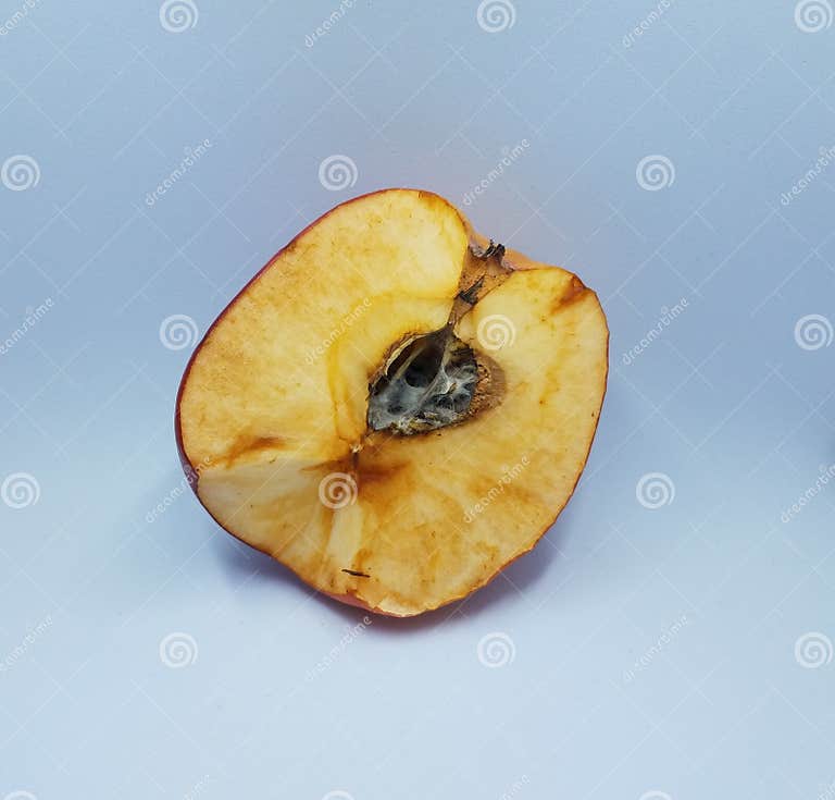 Rotten Red Apple with Mold on White Background Stock Photo - Image of ...