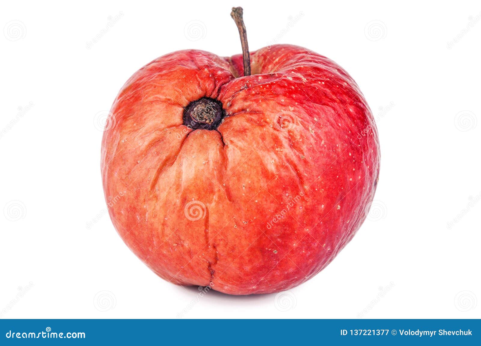Rotten Red Apple with Holes on White Stock Image - Image of apple ...