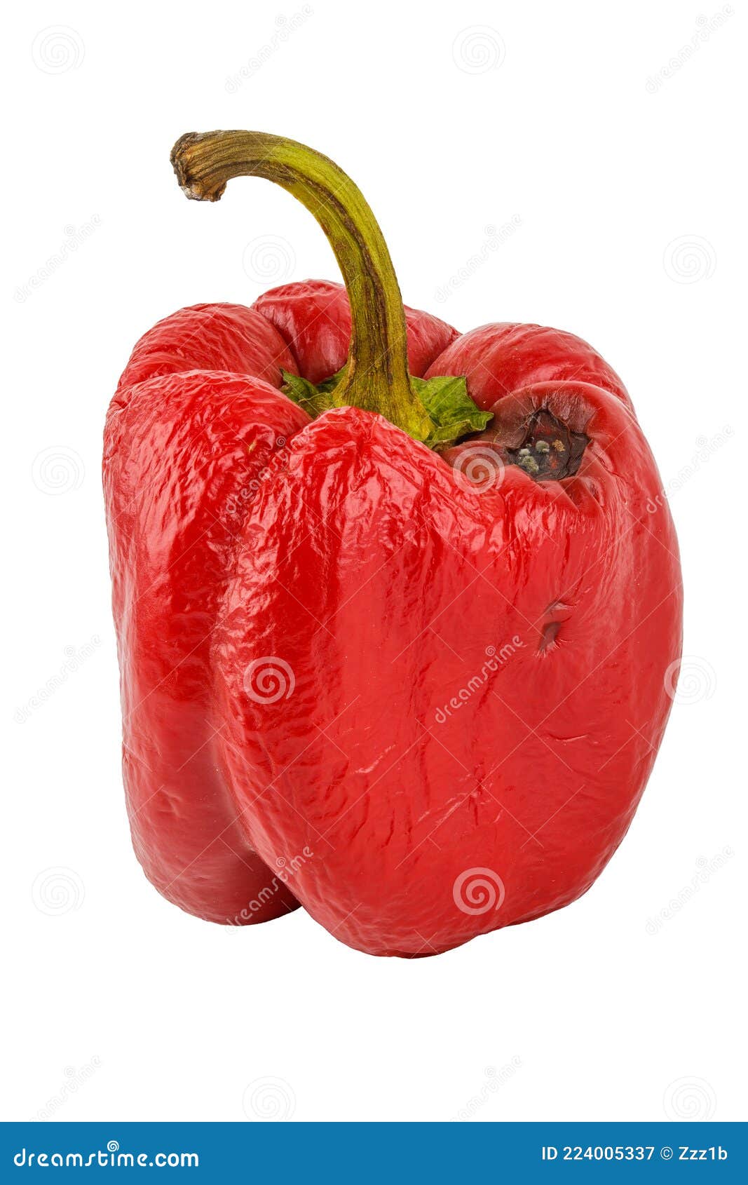 Rotten Red Bell Pepper Isolated on White Background Stock Image - Image ...
