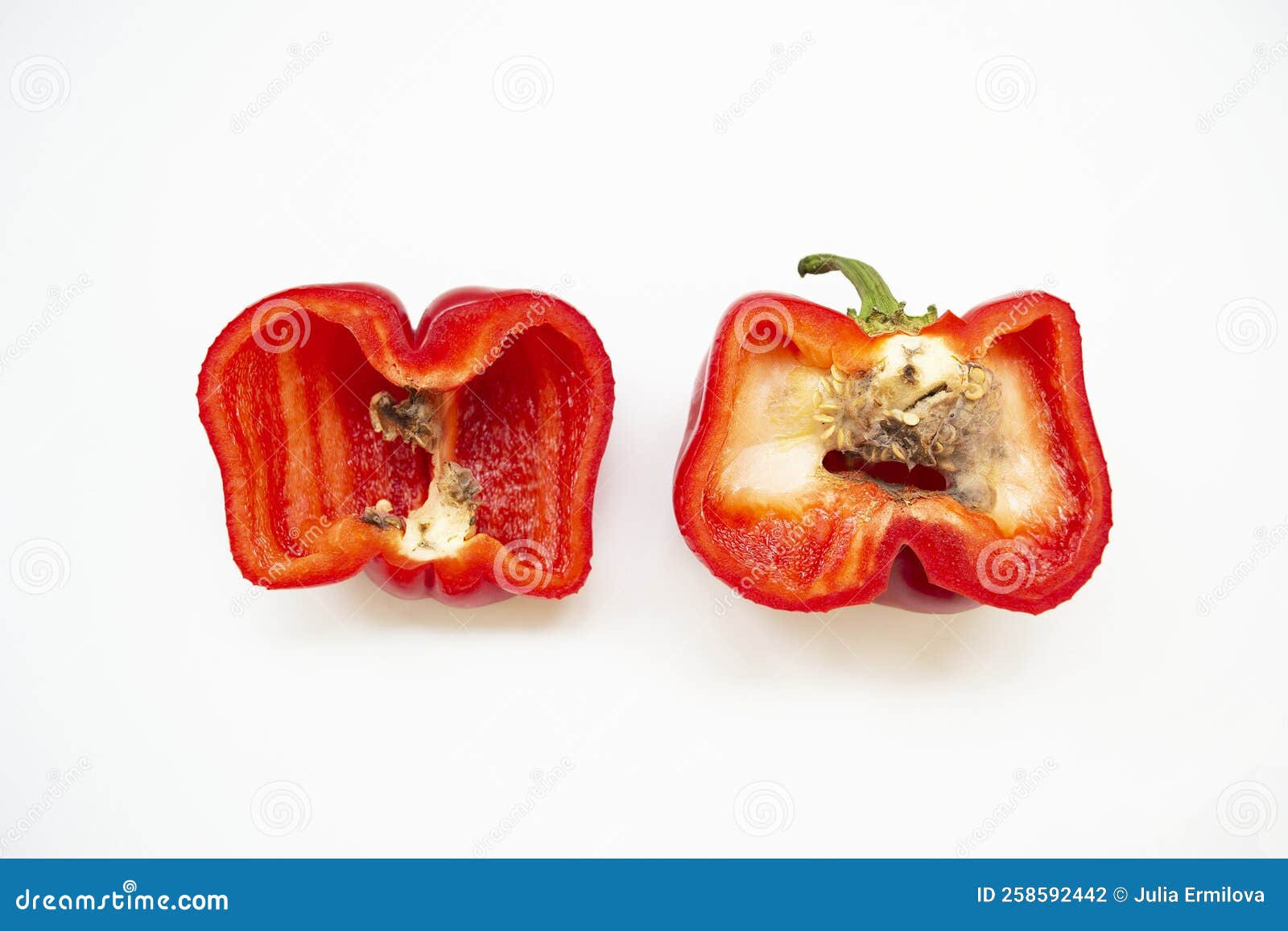 Dry Wilted Red Bell Pepper Grows In The Field. Vegetable Disease ...