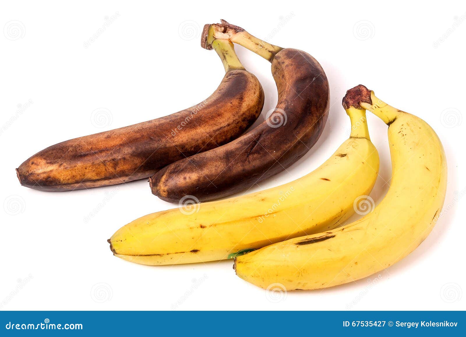 Rotten and Ripe Bananas Isolated on White Background Stock Image ...