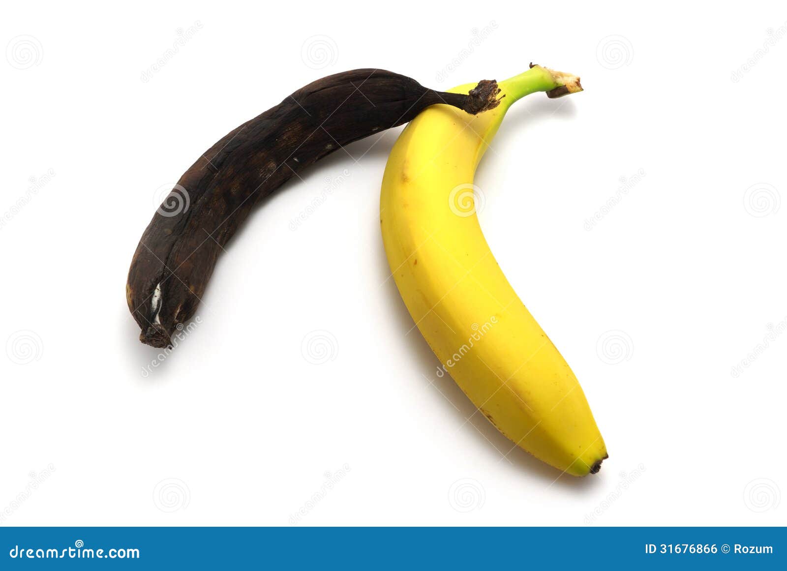 Together Rotten And Ripe Bananas Stock Photography | CartoonDealer.com ...
