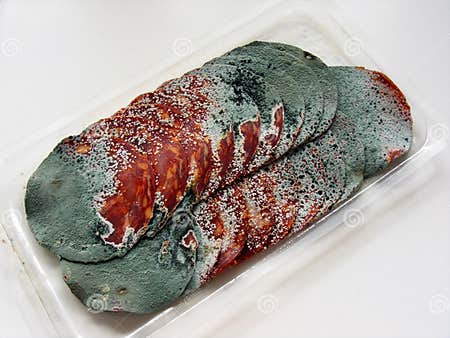 Rotten salami meat stock photo. Image of brown, mould - 16907996