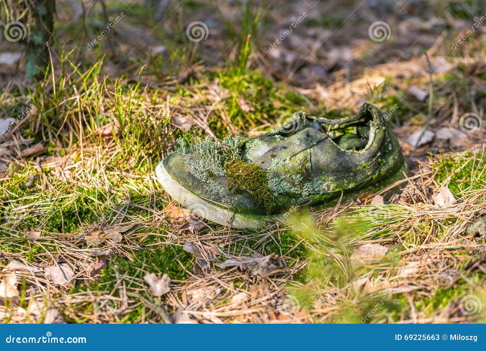 Rotten Shoe Lying On Forest Ground. Royalty-Free Stock Photo ...