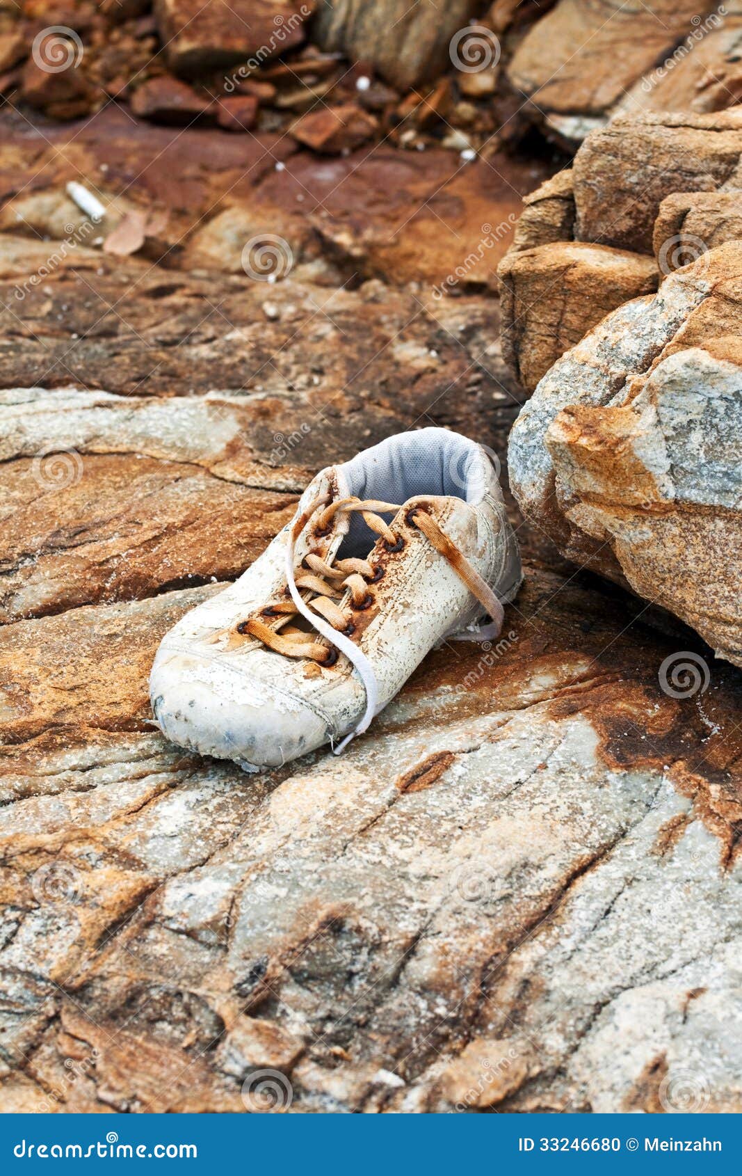 Rotten Shoe Lying On Forest Ground. Royalty-Free Stock Photo ...