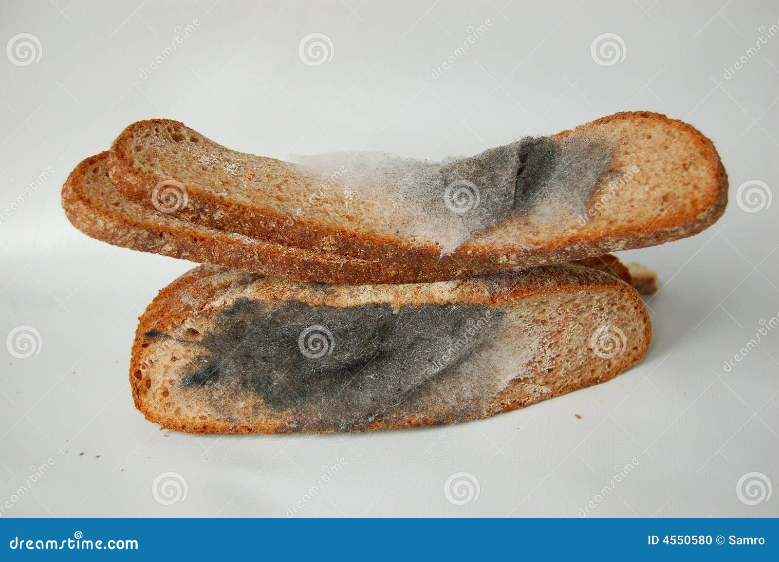 Rotten slices of bread stock photo. Image of integral - 4550580