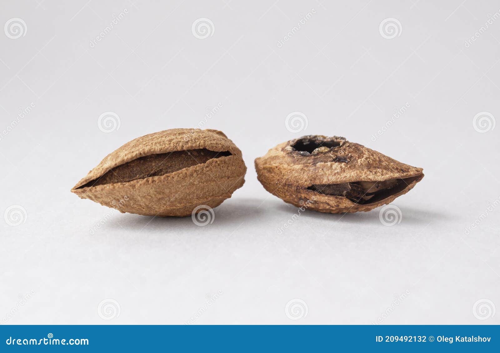 Rotten Almonds. A Spoiled Walnut On A White Background. Rotten Almonds ...