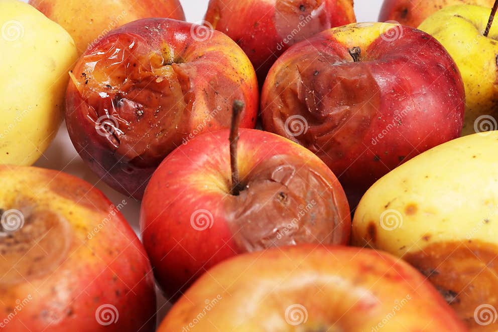 Rotten Spoiled Apples in a Box Stock Photo - Image of natural, therapy ...