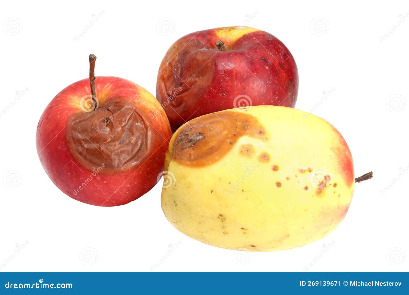 Rotten Spoiled Apples Isolated on White Background Stock Image - Image ... Rotten Spoiled Apples Isolated on White Background Stock Image - Image ...
