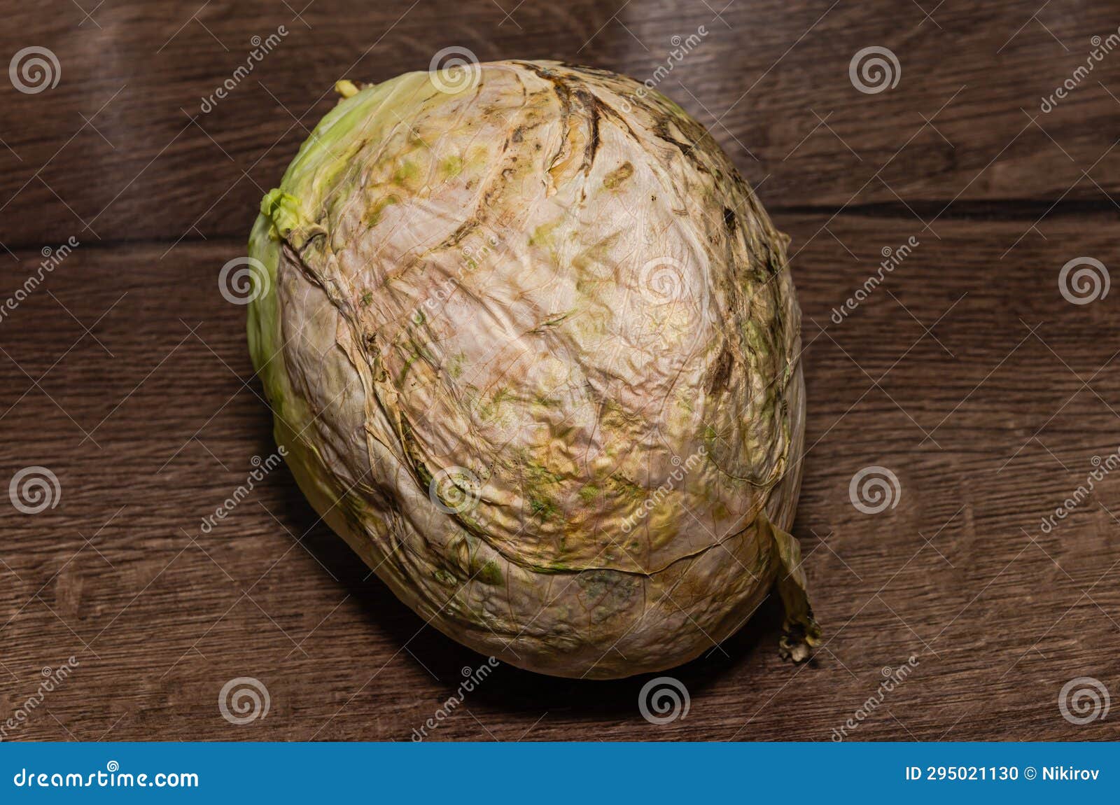 Rotten Spoiled Eggplant Vegetables Lie On The Field. Poor Harvest ...