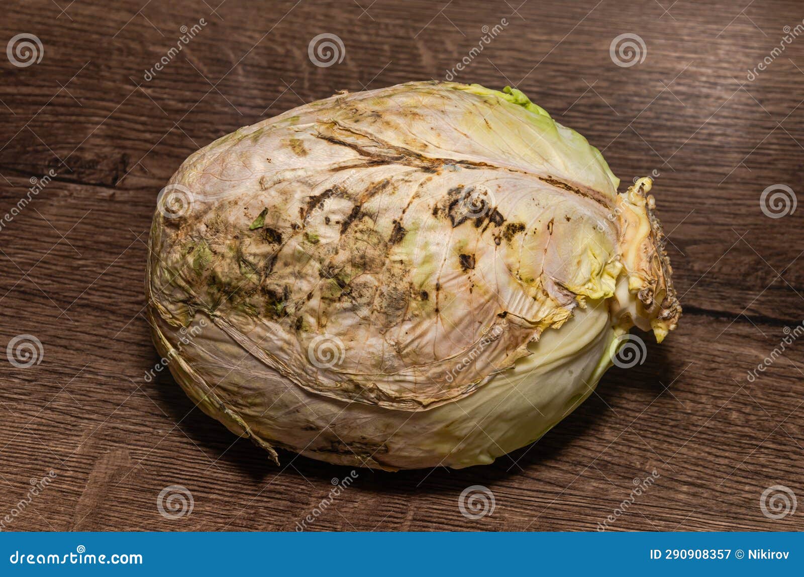 Rotten Spoiled Cabbage on the Table Stock Image - Image of food, table ...