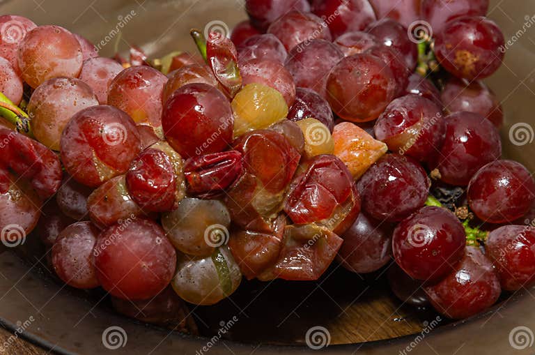 Rotten Spoiled Grapes on a Plate Stock Photo - Image of vegetable ...