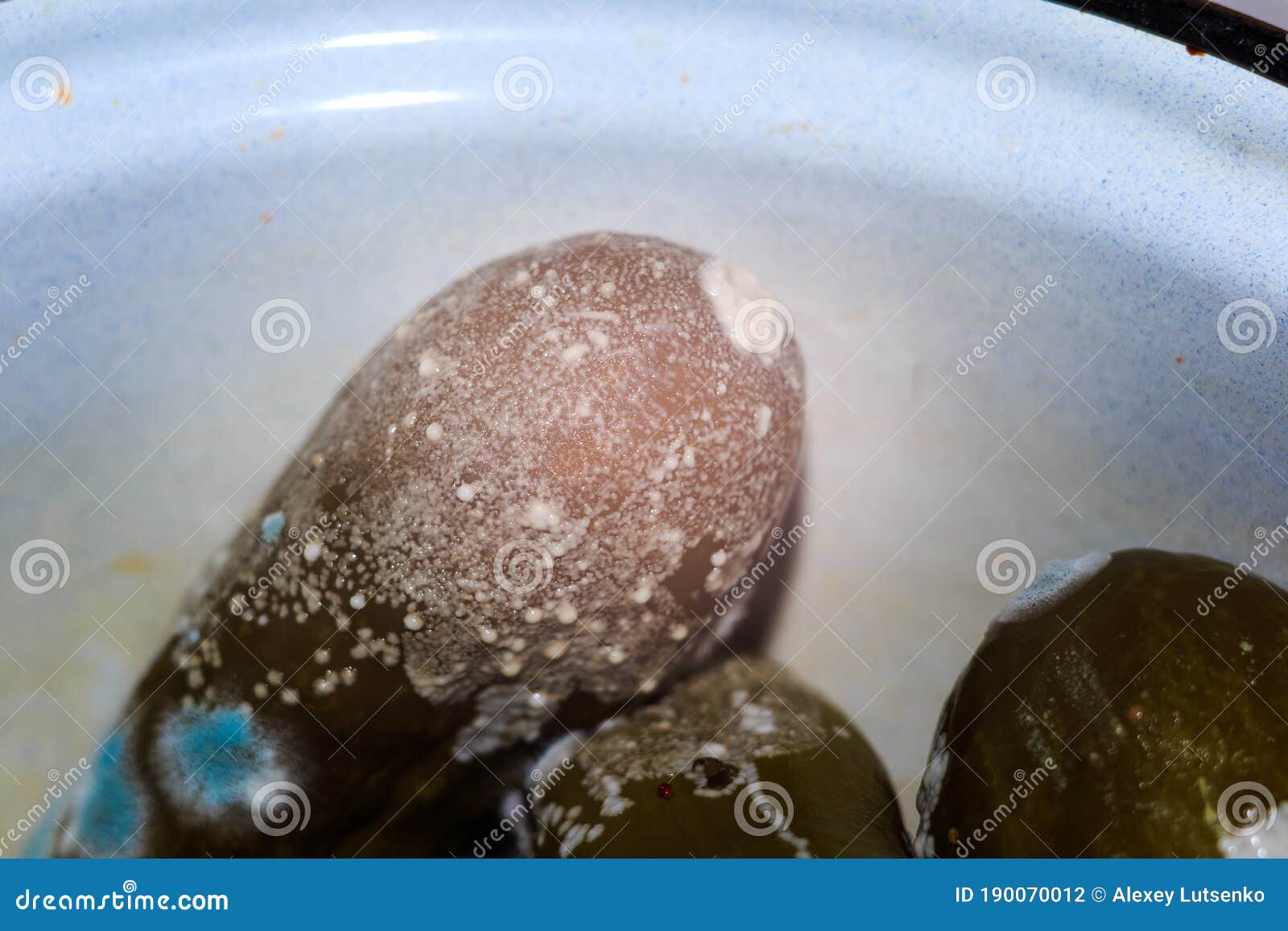Rotten, Spoiled Green Cucumbers Covered with Mold and Mucus in a Pan ...