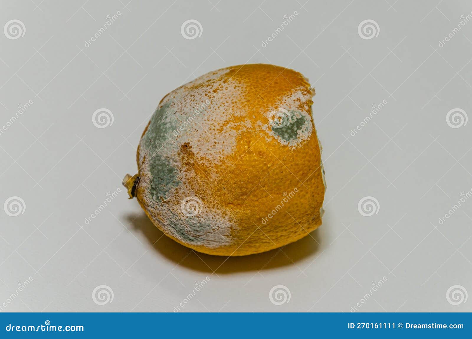 Rotten Spoiled Lemon Isolated on White Background Stock Image - Image ... Rotten Spoiled Lemon Isolated on White Background Stock Image - Image ...