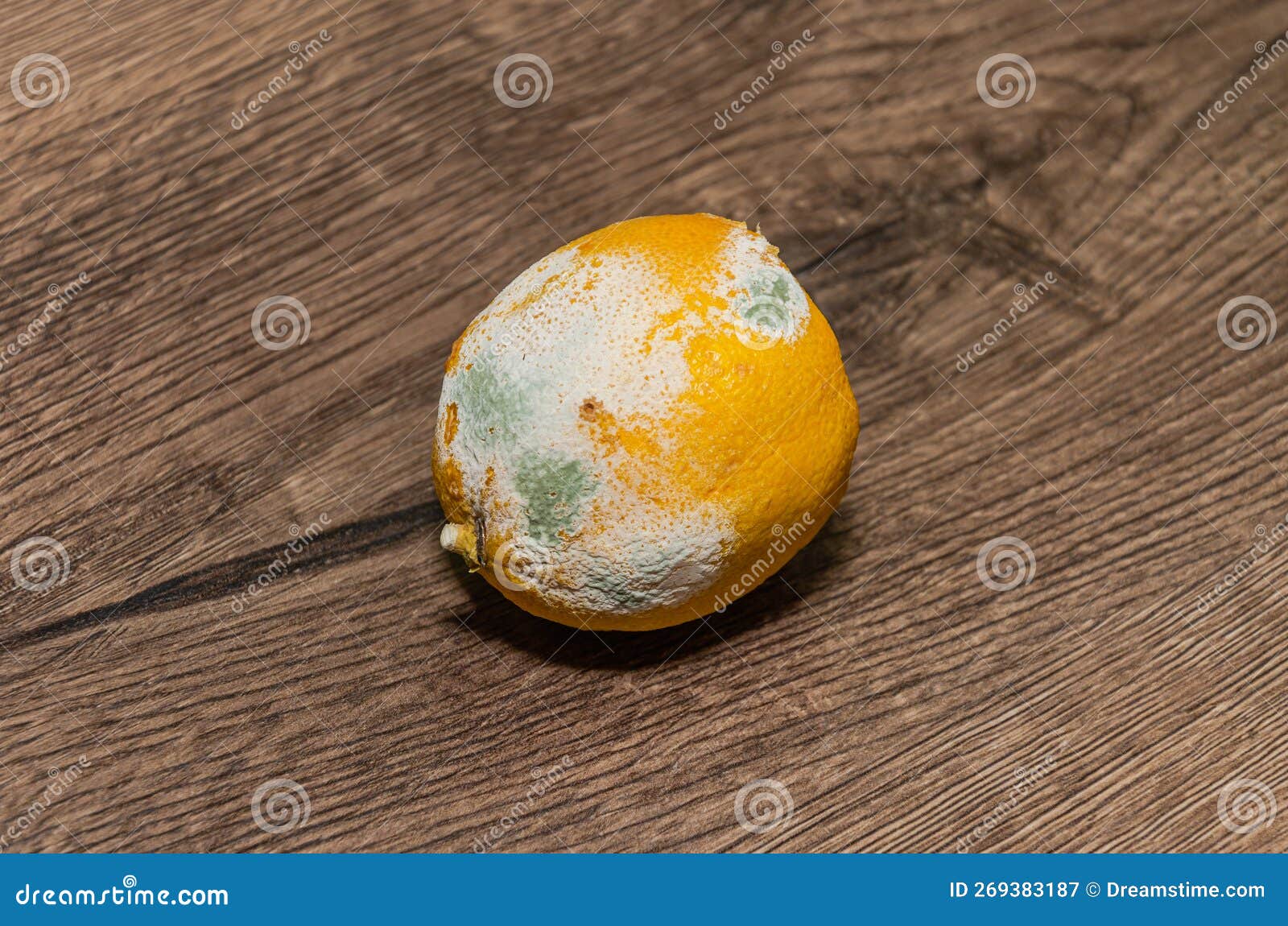 Rotten Spoiled Lemon Isolated on White Background Stock Image - Image ... Rotten Spoiled Lemon Isolated on White Background Stock Image - Image ...