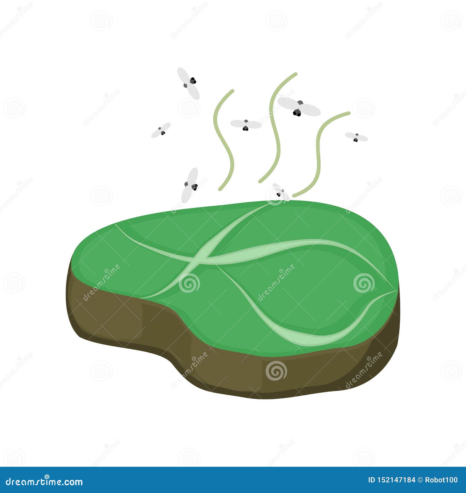 Rotten Piece Of Meat Icon, Cartoon Style Vector Illustration ...