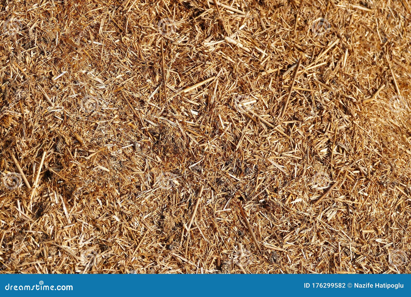 Rotten Straw and Wastes, Environmental Pollution Stock Photo - Image of ...