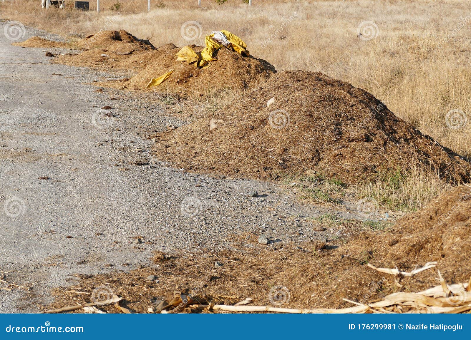 Rotten Straw and Wastes, Environmental Pollution Stock Image - Image of ...