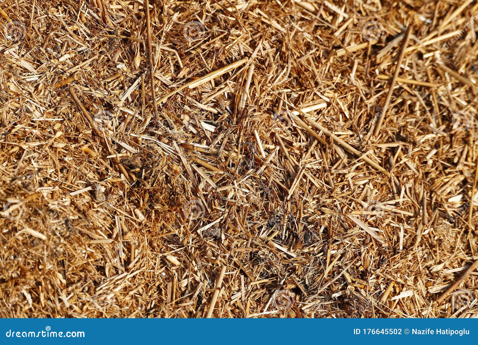 Rotten Straw and Wastes, Environmental Pollution Stock Photo - Image of ...