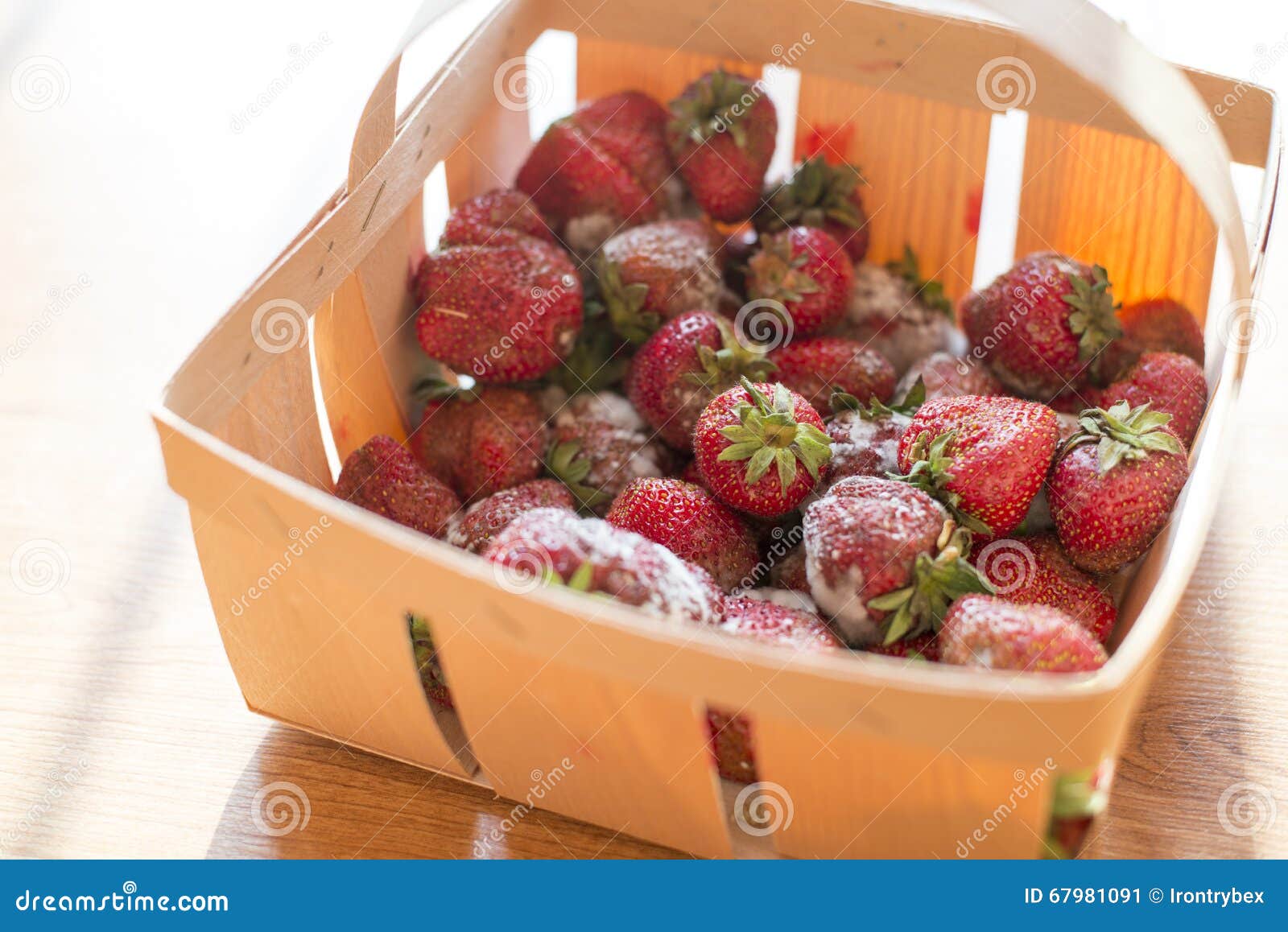 Rotten strawberries stock image. Image of carton, strawberries - 67981091