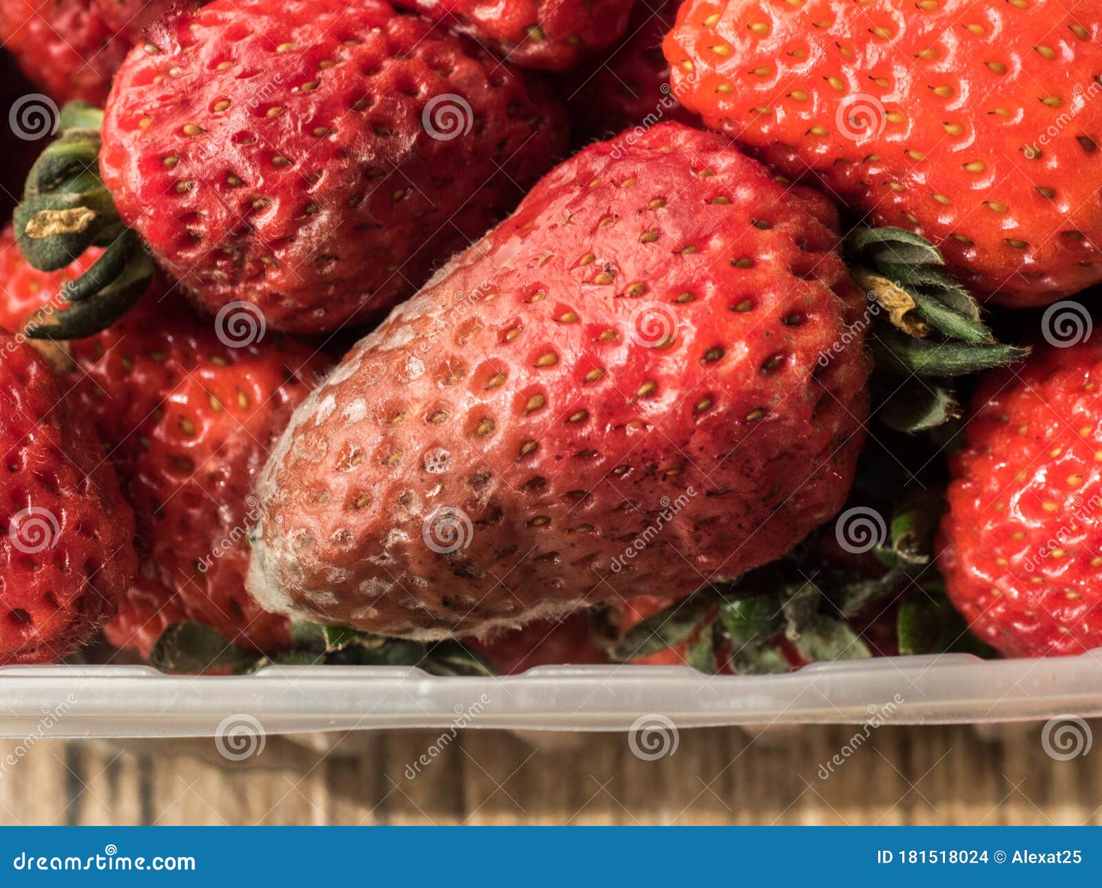 Rotten Strawberries in Plastic Container Stock Photo - Image of berry ...
