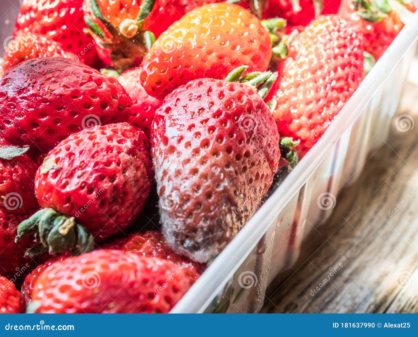 Rotten Strawberries in Plastic Container Stock Photo - Image of mold ...