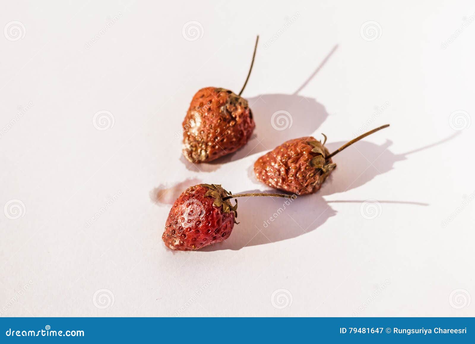 Rotten strawberries stock image. Image of fungus, mold - 79481647