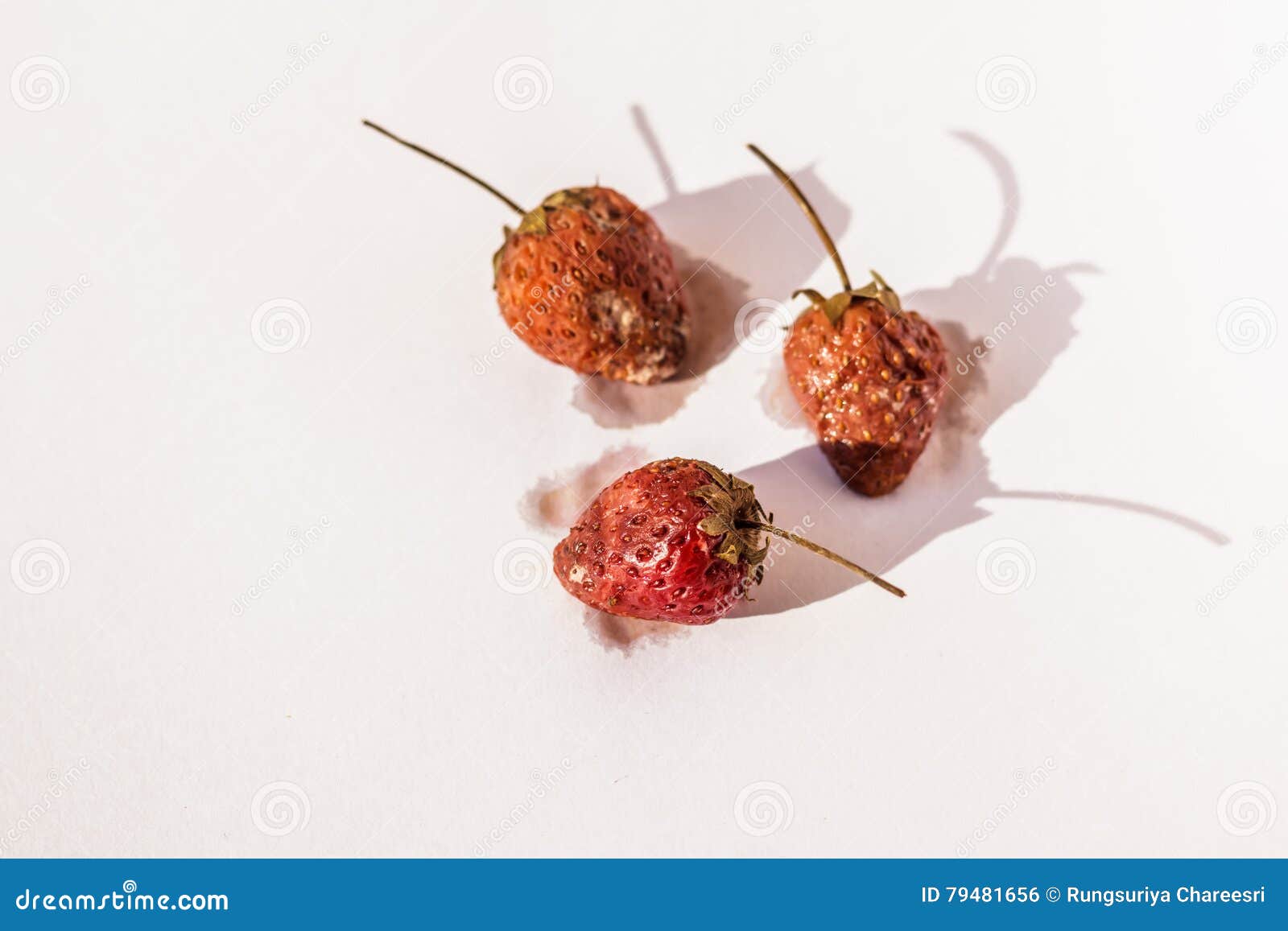 Rotten strawberries stock photo. Image of foul, fungi - 79481656