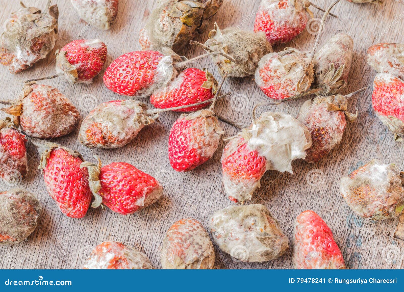 Rotten strawberries stock image. Image of decay, natural - 79478241