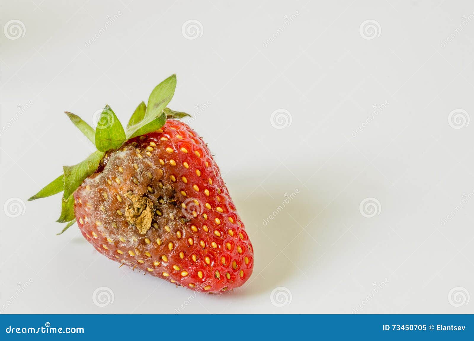 Rotten Mildew Cucumbers In A Plastic Plate On Yellow Background ...