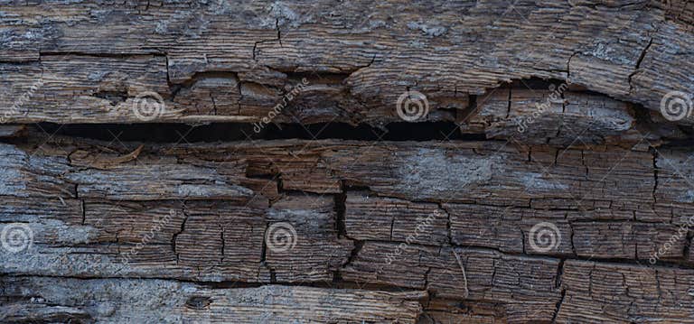 The Rotten Structure of the Wood Stock Photo - Image of material ...