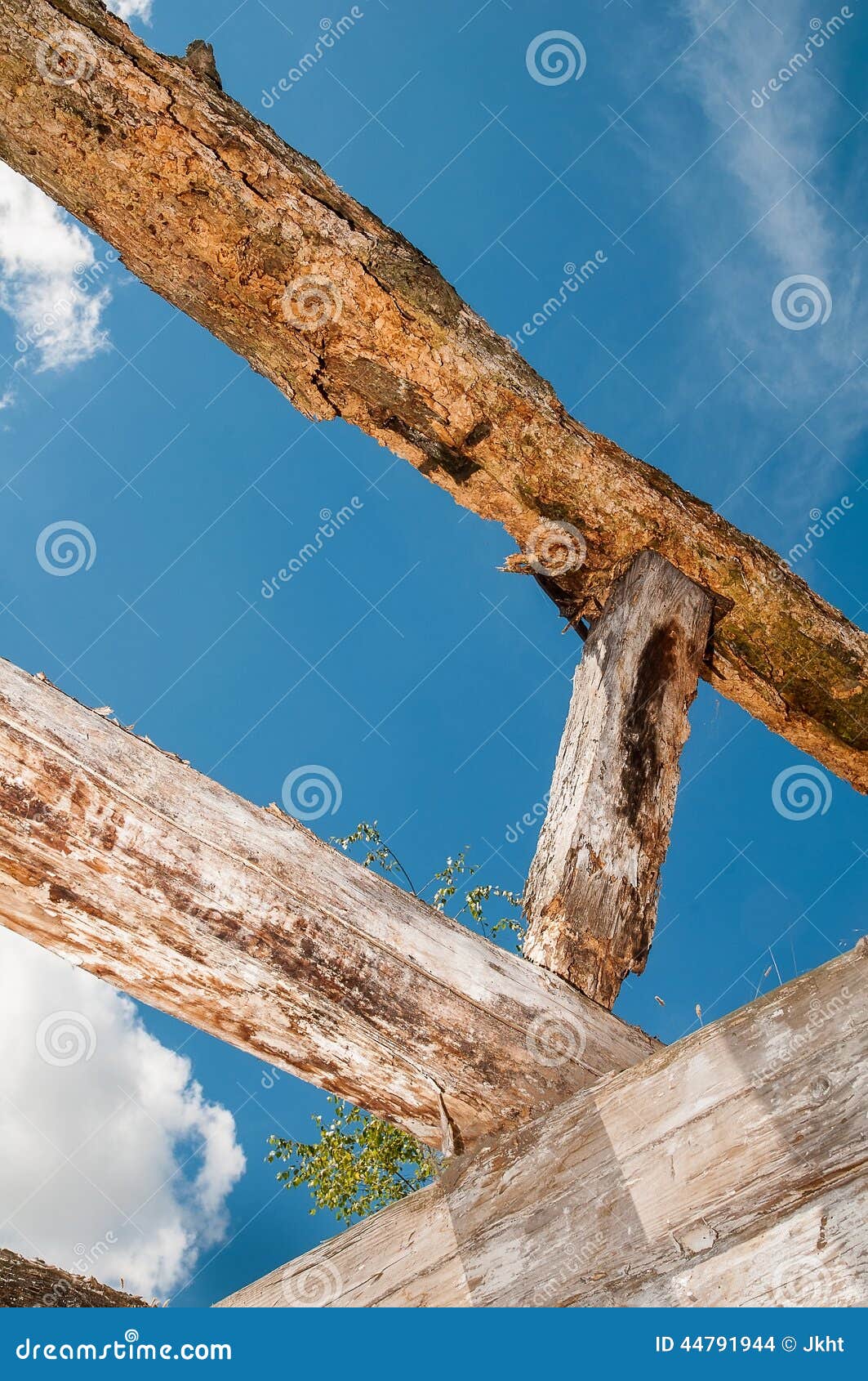Rotten timbers stock photo. Image of devastated, power - 44791944