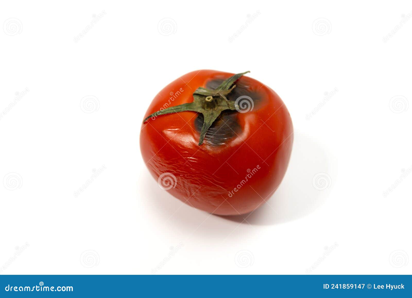 Rotten Tomato Isolated On White Background Royalty-Free Stock ...