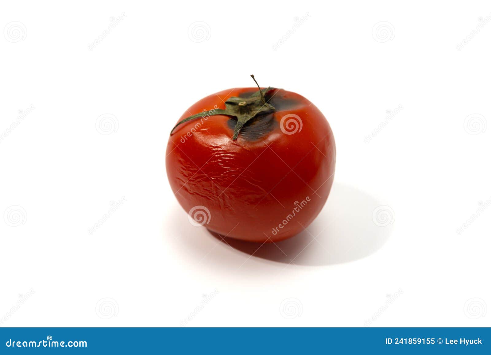 Rotten Tomato Isolated on White Background Stock Image - Image of ...