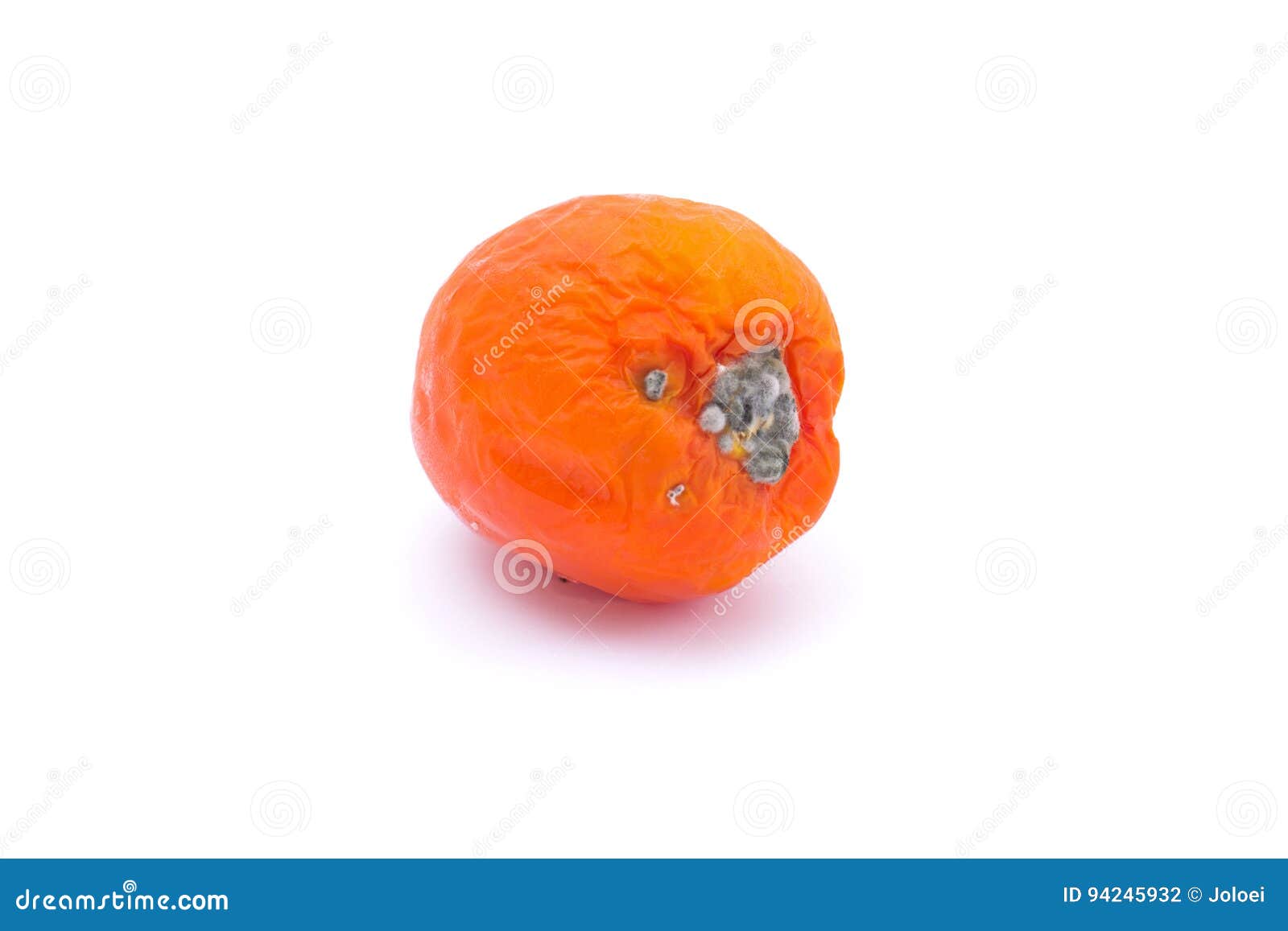 Rotten tomato stock photo. Image of tomato, decay, disease - 94245932