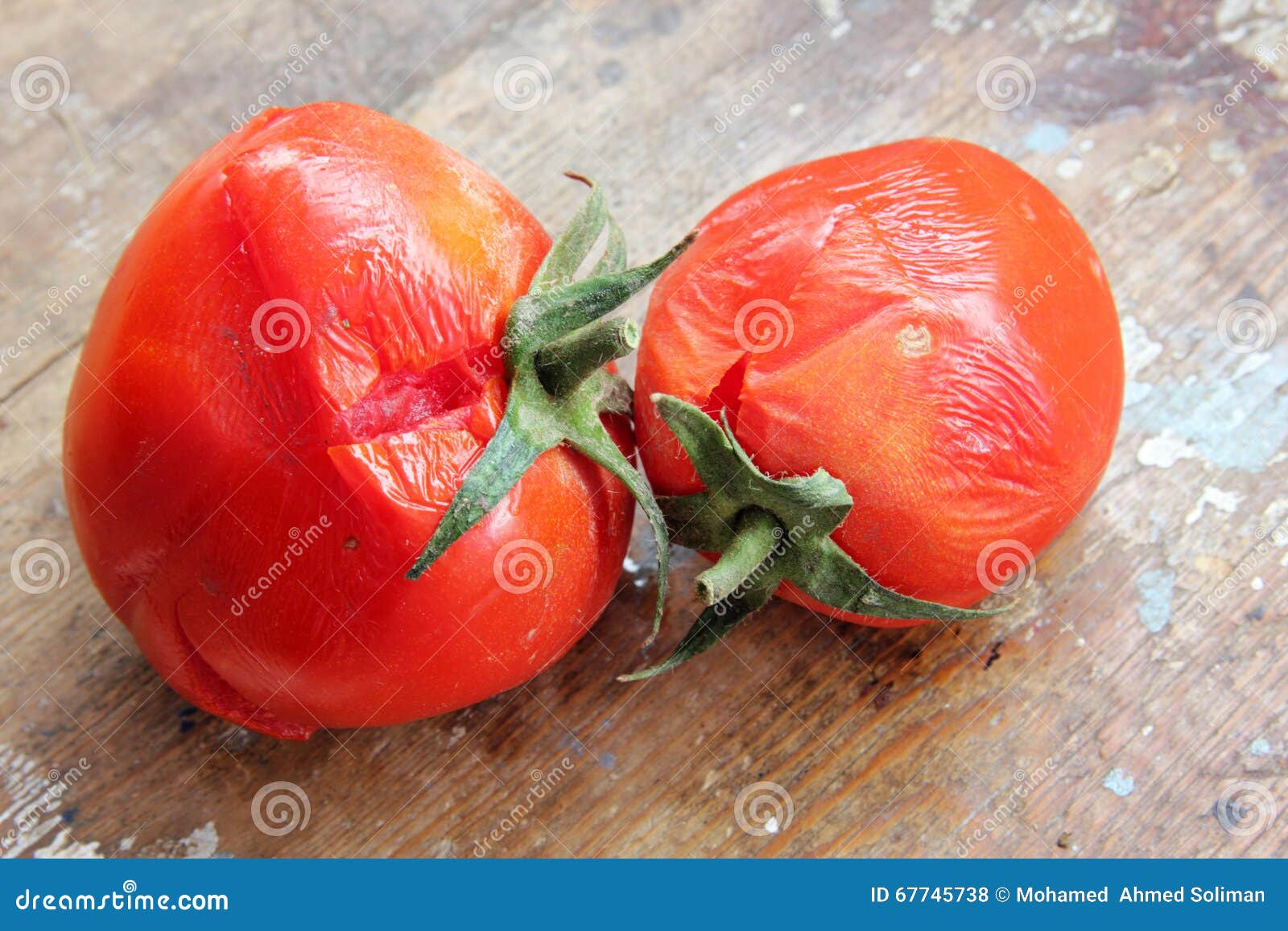 Rotten Tomato And Eggplant, Rotten Product,Spoiled Food, Rotten ...