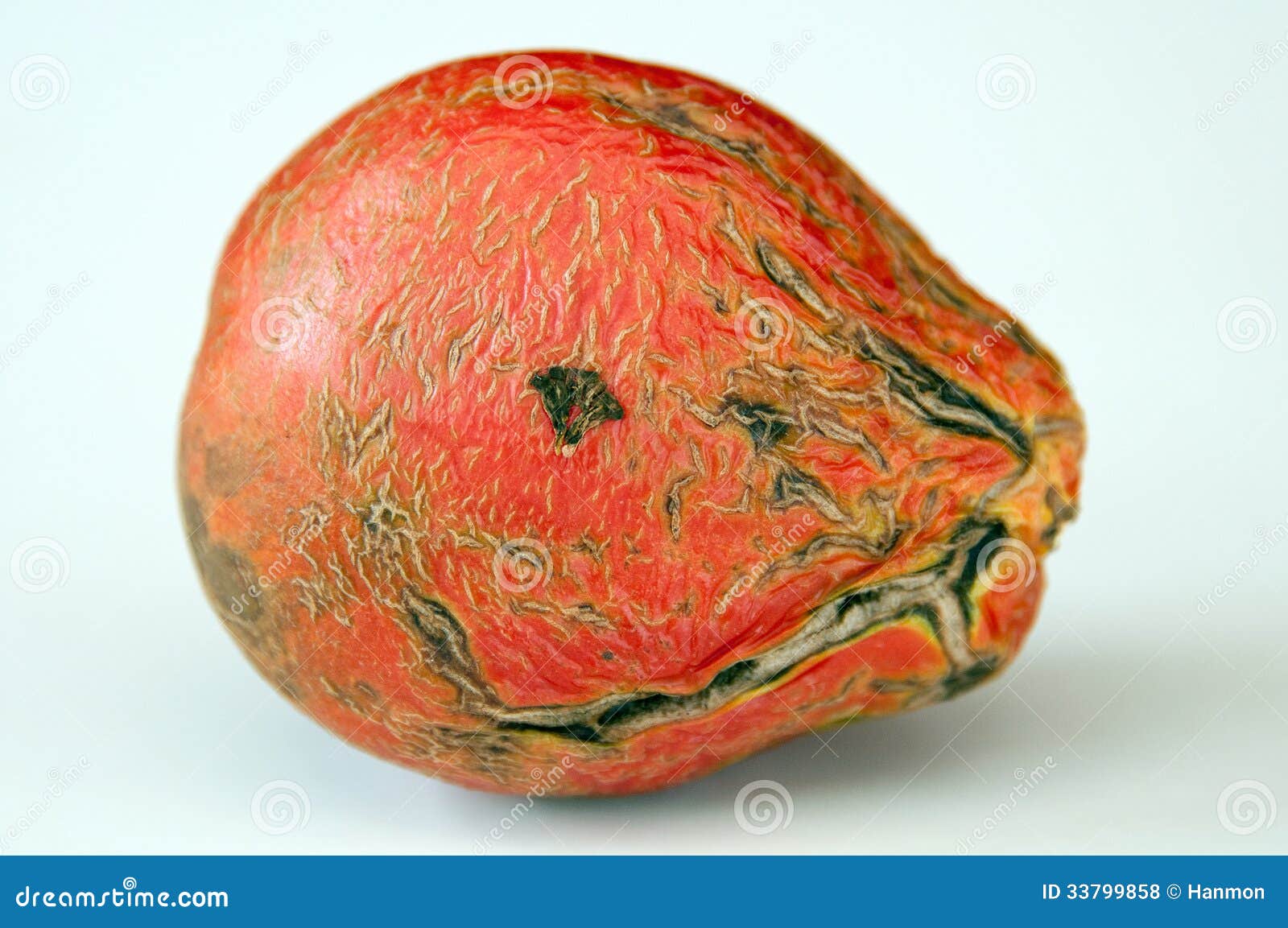 Rotten Tomato And Eggplant, Rotten Product,Spoiled Food, Rotten ...