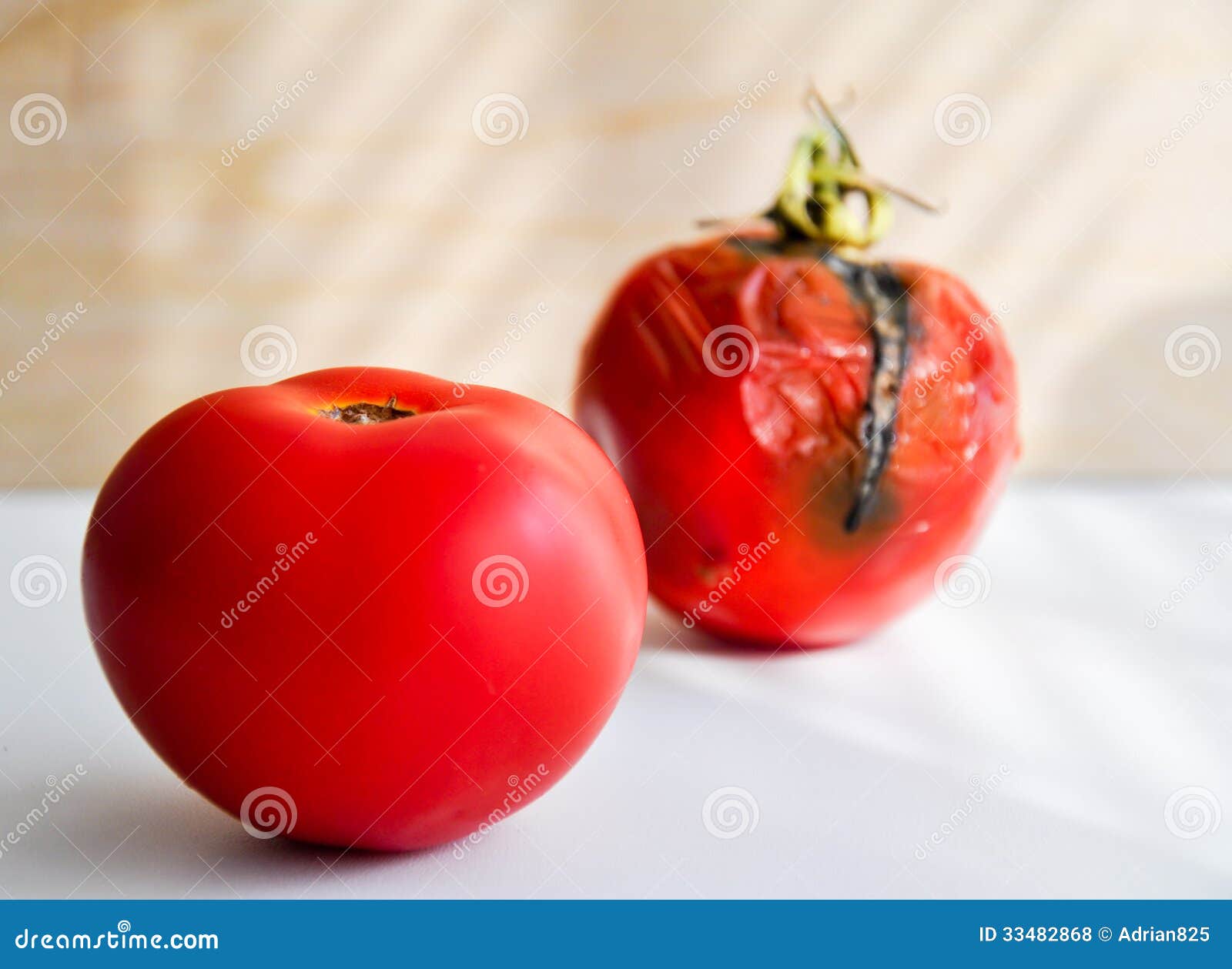 Rotten Tomatoes After Illness From Lack Of Heat And Light. Isolated On ...