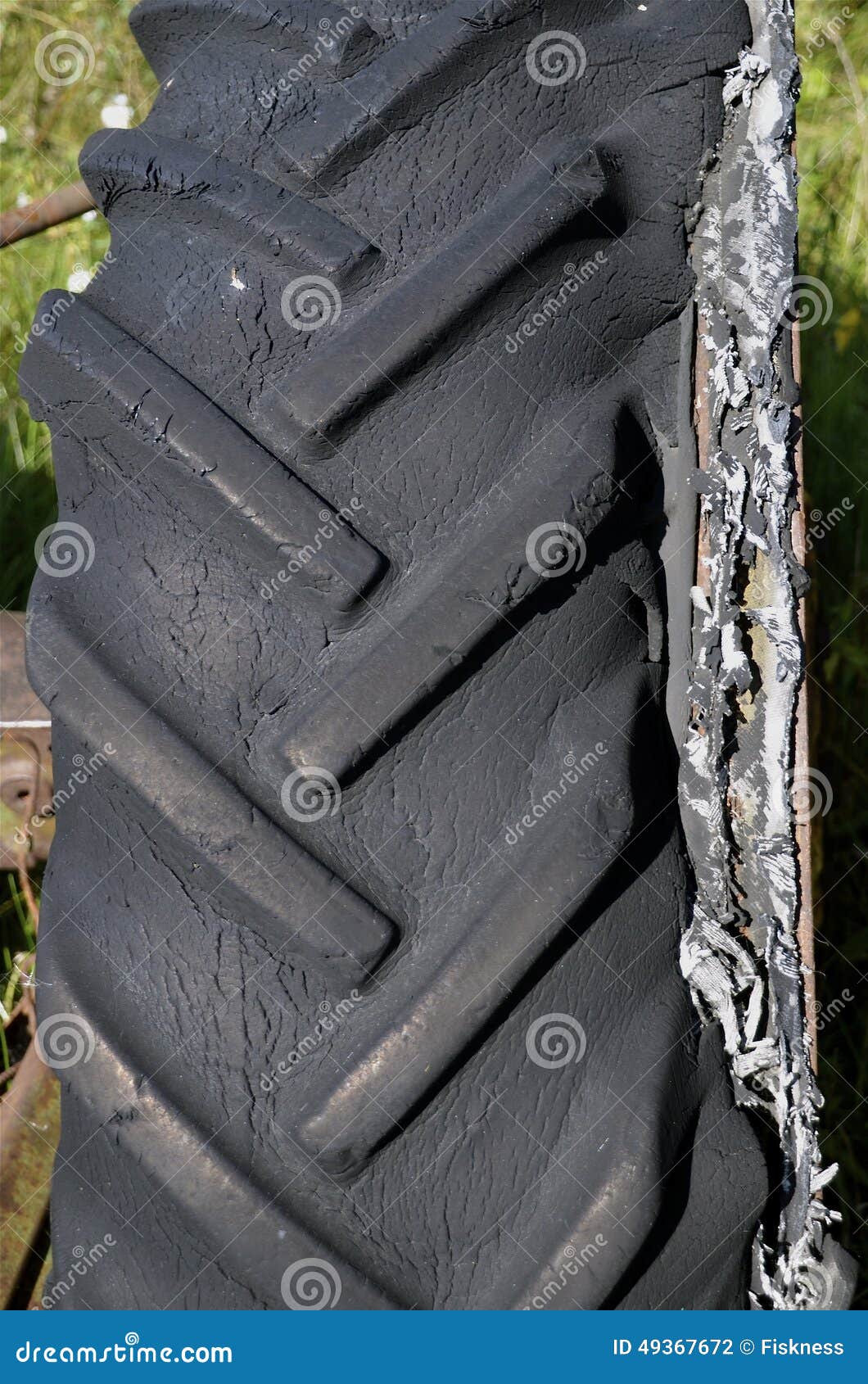 Rotten tractor tire stock photo. Image of tractor, rubber - 49367672