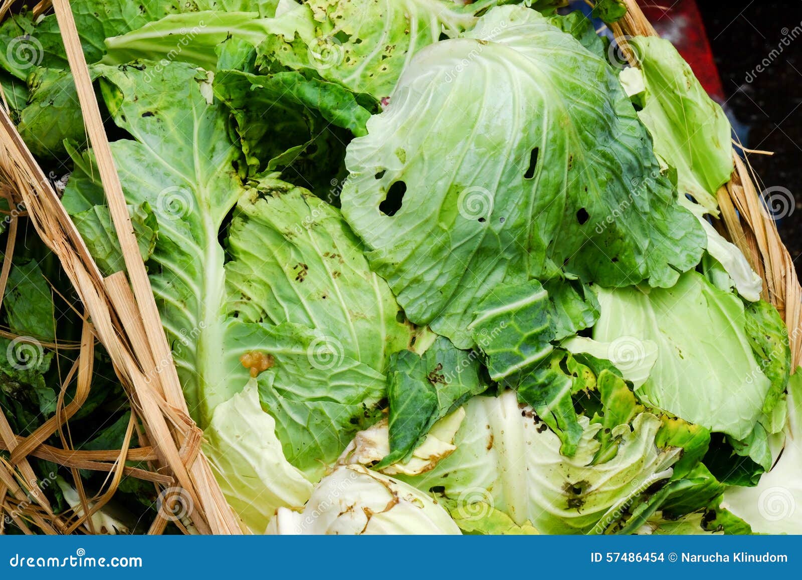 Rotten vagetable stock photo. Image of market, rotten - 57486454