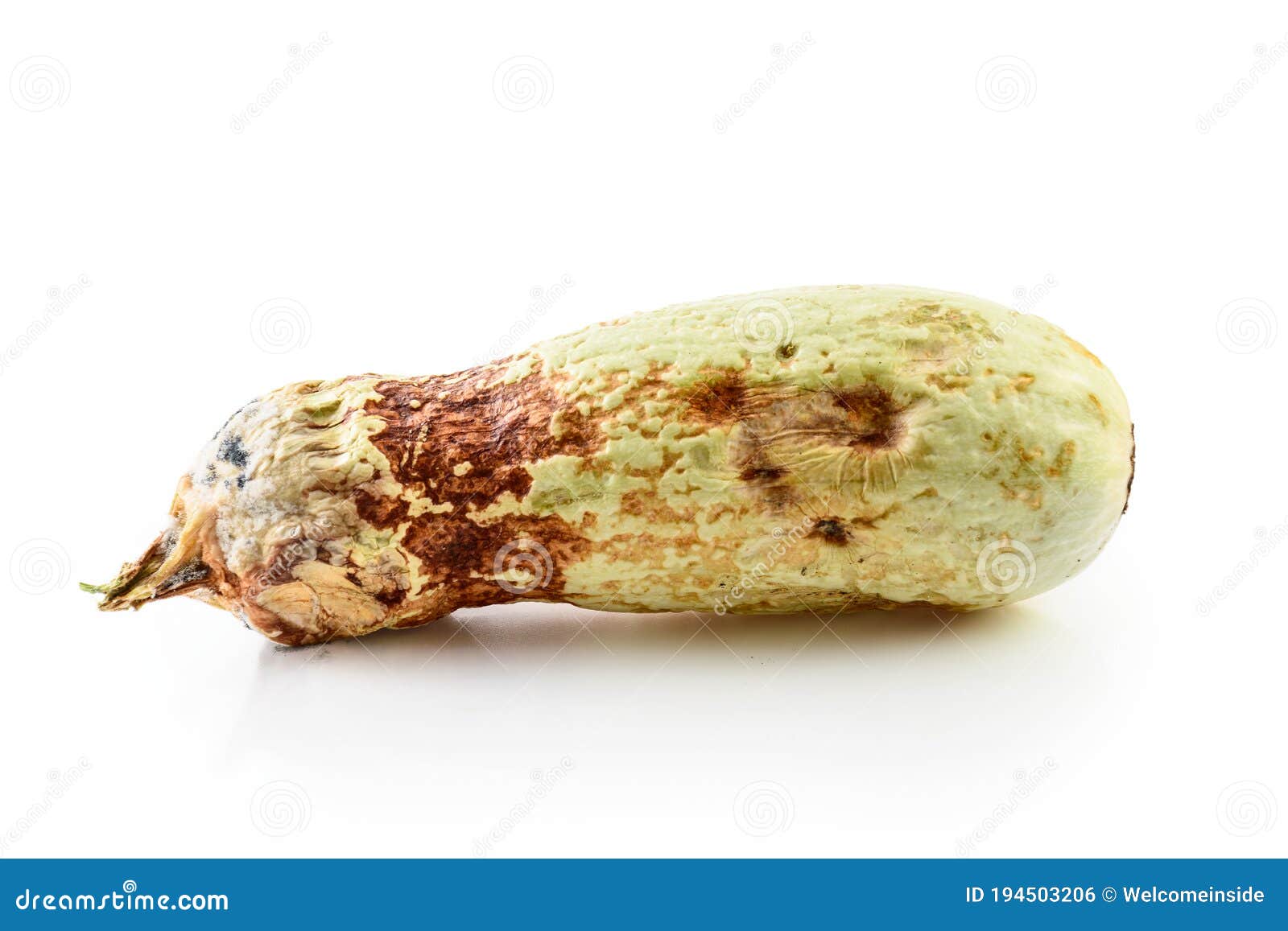 Spoiled Zucchini. Rotten Vegetable Marrow Isolated Stock Photo - Image ...