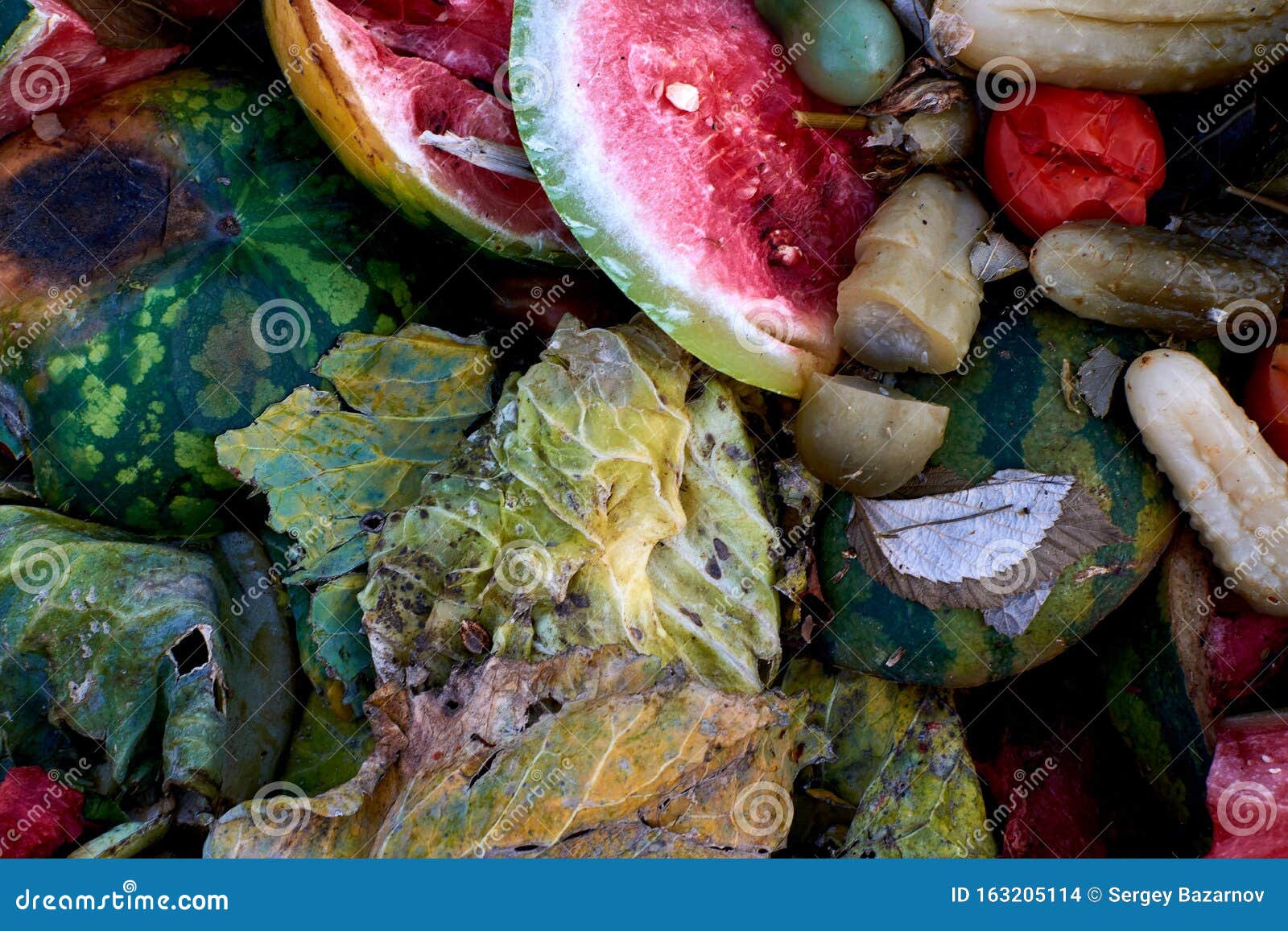 Rotten Vegetables and Berries Thrown in the Trash Stock Photo - Image ...