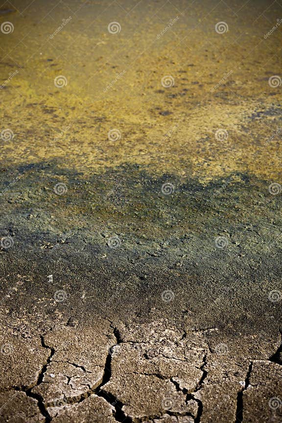 Rotten water stock image. Image of eroded, drought, bacteria - 27442475