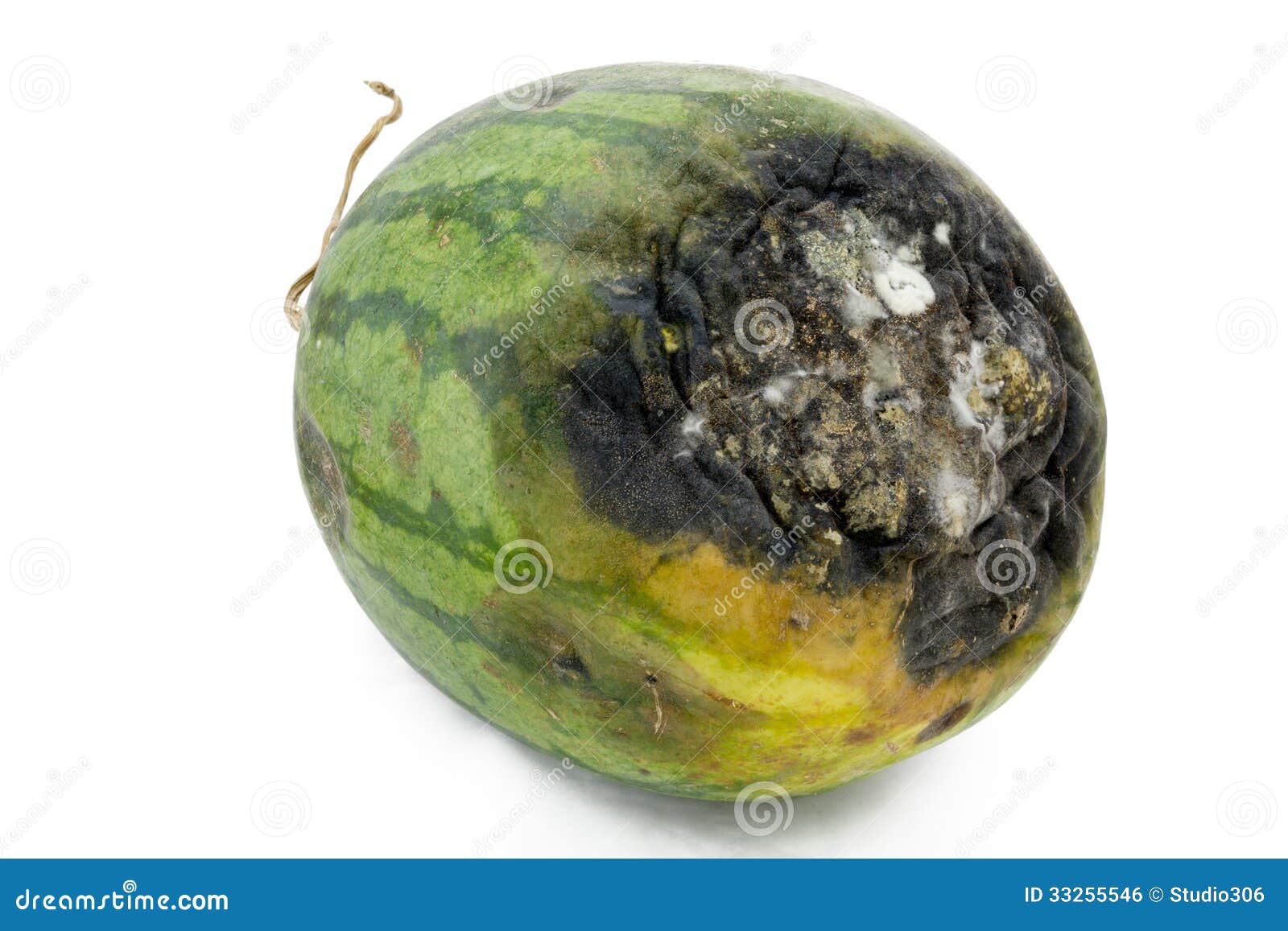 Watermelon Rotten, Caused By Mold Stock Image | CartoonDealer.com ...